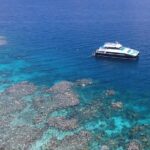 Calypso Outer Great Barrier Reef Cruise from Port Douglas - Who Is This Tour Best For?