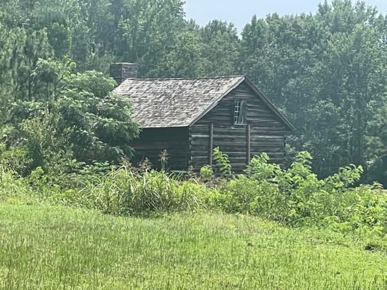 Camden: Revolutionary War Park Guided Tour - The Value of the Experience