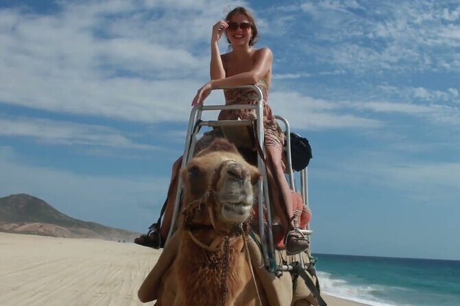Camel Adventure on the Beach - Value and Practical Considerations