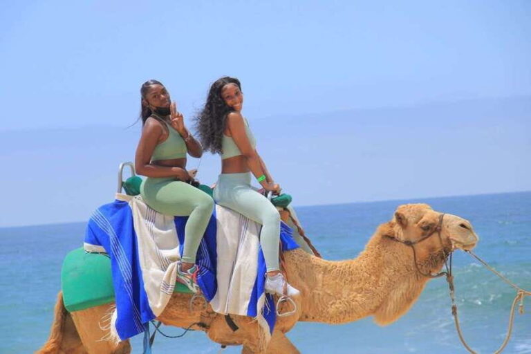 Camel Ride Beach and Desert Adventure. - The Itinerary Breakdown: What You Can Expect