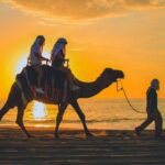 Camel Ride Experience in Los Cabos with Pick up and Lunch - Who Will Love This Tour?
