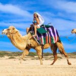 Camel Ride On The Beach at Los Cabos - The Small Details That Matter