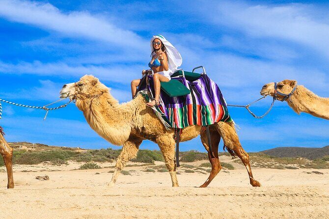 Camel Ride On The Beach at Los Cabos - The Small Details That Matter