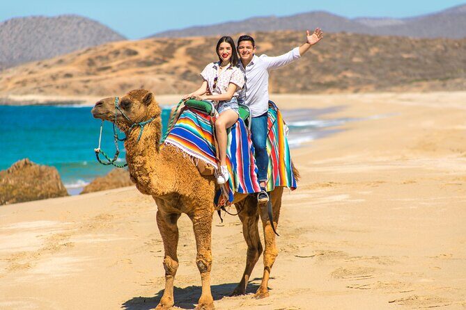 Camel riding experience on the shores of the Pacific Ocean - Who Will Love This Experience?