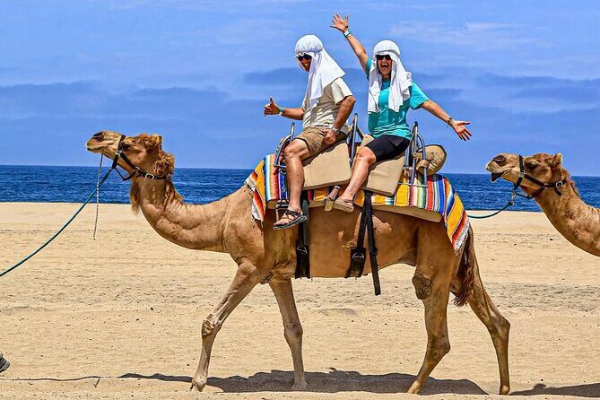 Camel Safari and Gastronomic Experience in Los Cabos - Practical Tips & Final Thoughts