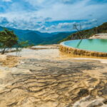 Caminos del Condoy: Boiling water, Mitla. Mezcal - The Tule Tree – A Living Natural Wonder