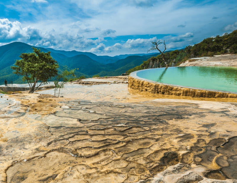 Caminos del Condoy: Boiling water, Mitla. Mezcal - The Tule Tree – A Living Natural Wonder