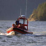 Campbell River: 6-Hour Whale Watching Boat Tour - What to Expect on the Day