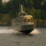 Campbell River: 7-Hour Big Animal Encounter Boat Tour - Who Will Love This Tour?
