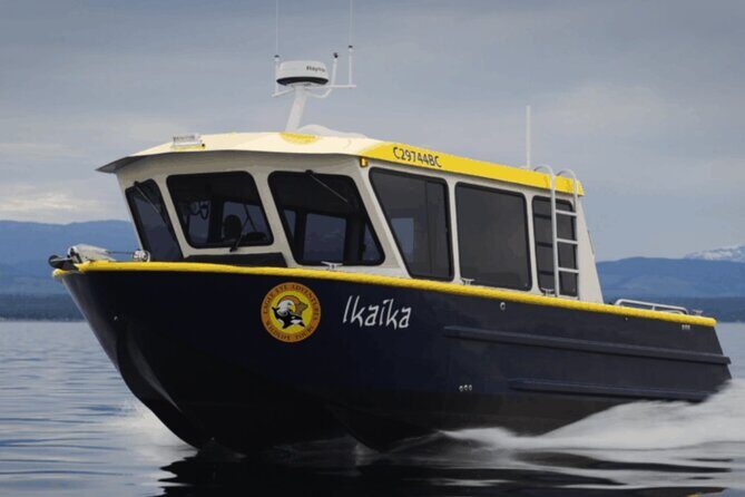 Campbell River, BC: 4 Hour Wildlife Tour Featuring Whale Watching - Who Should Consider This Tour?