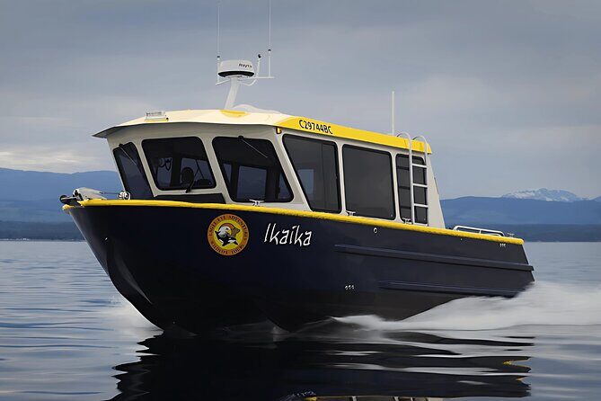 Campbell River, BC: Full Day Grizzly Bear Tour in Toba Inlet - Toba Inlet and the Heart of Grizzly Territory