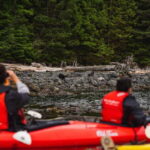 Campbell River: Kayaking and Whale Watching Tour - Who Is This Tour Best For?