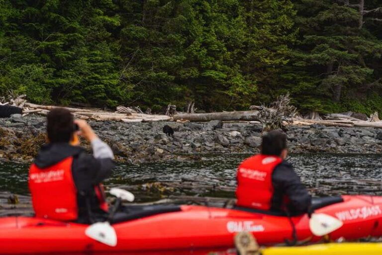 Campbell River: Kayaking and Whale Watching Tour - Who Is This Tour Best For?
