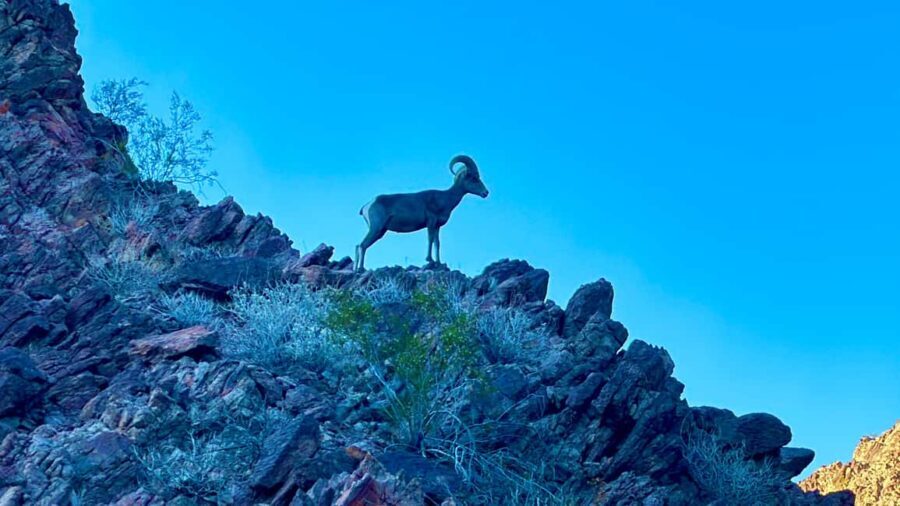 Camping Las Vegas Trip from Base of Hoover Dam, Black Canyon - Camping at Arizona Hot Springs