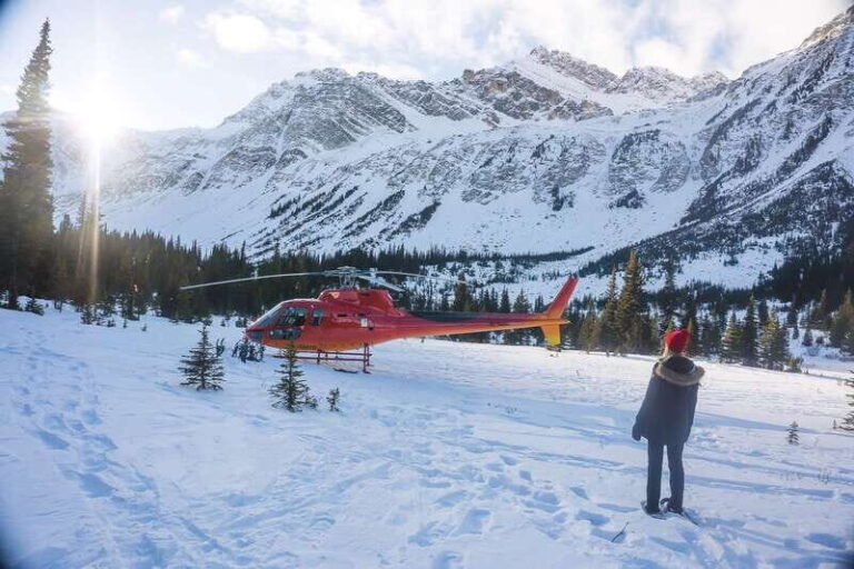 Canadian Rockies: Abraham Lake Ice Bubbles Helicopter Tour - What This Tour Offers in Detail