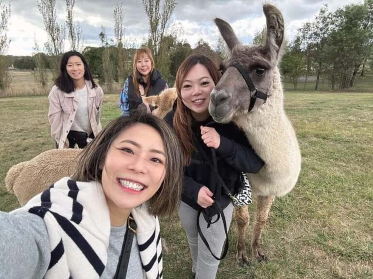 Canberra: Alpaca Adventure Farm Tour (morning tea included) - Who Will Love This Experience?