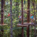 Canberra: Majura Pines Junior Tree Ropes Course - What to Expect: A Step-by-Step Breakdown