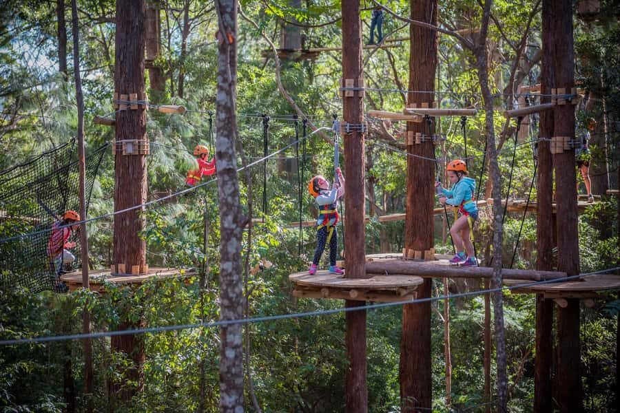 Canberra: Majura Pines Junior Tree Ropes Course - What to Expect: A Step-by-Step Breakdown