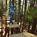 Canberra: Majura Pines Tree Ropes Course - The Highlights of the Course