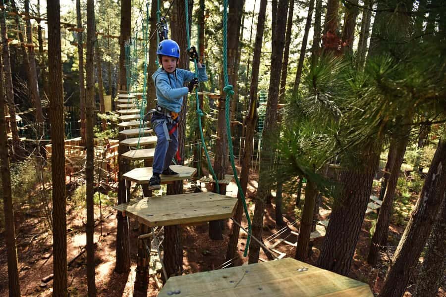 Canberra: Majura Pines Tree Ropes Course - The Highlights of the Course