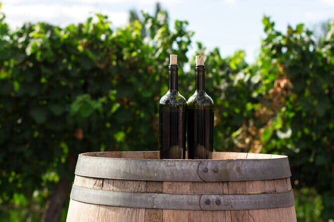 Canberra Wine Tour - Who is This Tour Best For?