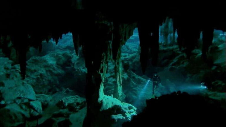 Cancun 2 Cenote Dives: The Pit & Dos Ojos - Certified Divers - Dive Experience and Guides