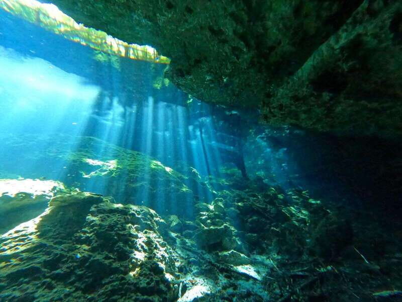 Cancun 2 Cenote Dives: The Pit + Nicte Ha - Certified Divers - The Experience in Detail