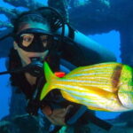 Cancún: 2-Day PADI Open Water Diving Course - Whats Included and What to Budget For