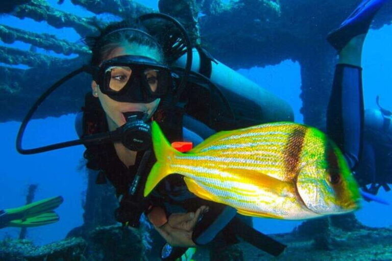 Cancún: 2-Day PADI Open Water Diving Course - Whats Included and What to Budget For