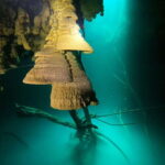 Cancun: 2 Dives in Cenotes Ki Ha + Zapote - Certified Divers - What the Reviews Say