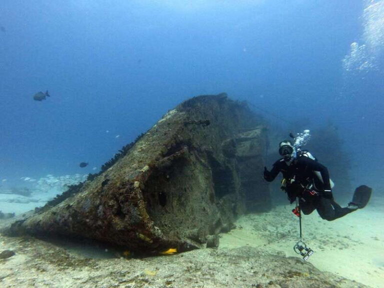 Cancun 2 Dives Shipwreck C55 or C58 & Reef -Certified Divers - Why This Tour Offers Excellent Value