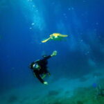 Cancun: 2-Tank Dive for Beginners with MUSA and Reef Dive - What’s Included and What to Consider