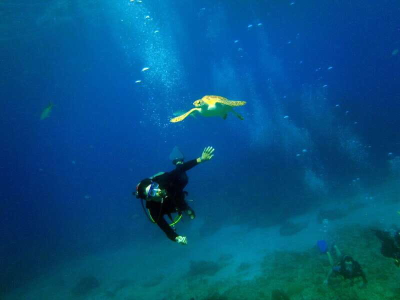 Cancun: 2-Tank Dive for Beginners with MUSA and Reef Dive - What’s Included and What to Consider