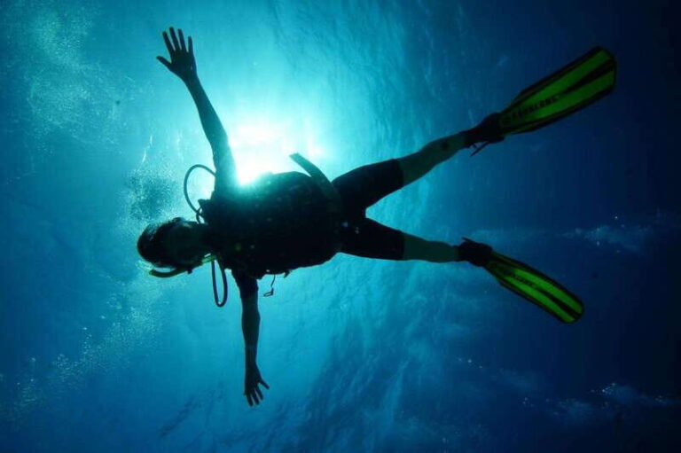 CANCUN: 2T REEF DIVES FOR CERTIFIED DIVERS - The Value of This Tour