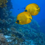 Cancun: 52-Foot Yacht Rental - Who Will Love This Experience?