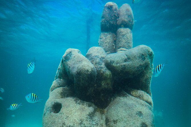 Cancun Adventure: Reef Snorkeling & Parasailing Experience - The Experience for Different Travelers