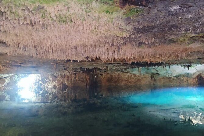 Cancun Adventure Tour with Ziplines, ATVs and Cenote Swim - Why This Tour Offers Good Value