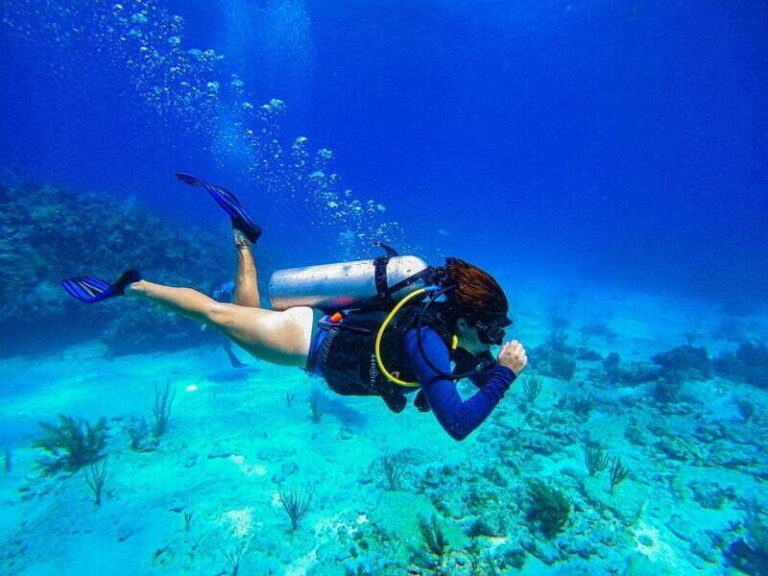 Cancun: All included Diving Lesson (2 Tanks) - An In-Depth Look at the Cancun Diving Experience