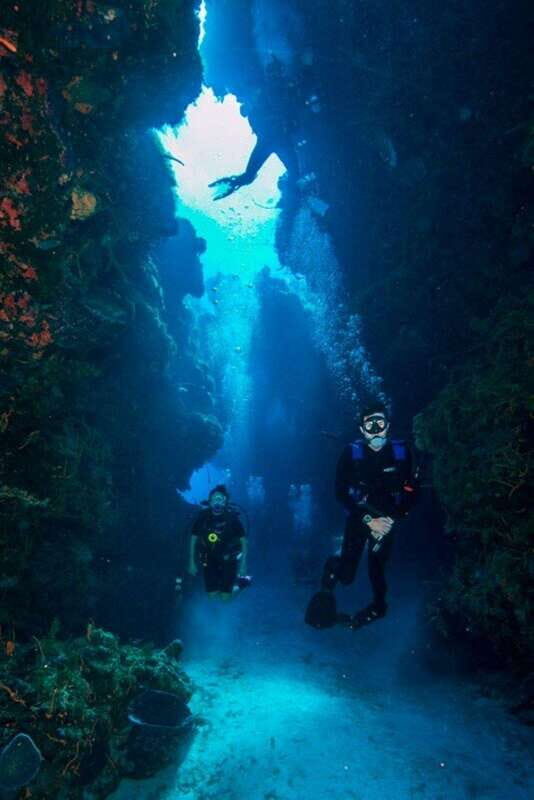 Cancun: Barracuda Dive Expedition - The Itinerary Breakdown