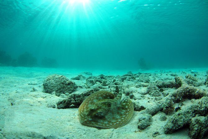 Cancun Best Deal 3x1: Snorkeling, Zip Lines & Rappel - The Value of the Experience