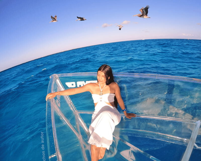 Cancun: Boat trip with transparent bottom and drinks - In-Depth Look at the Itinerary