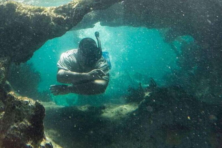 Cancun: Cancun Cenote Tour & Snorkeling - What Makes This Tour Stand Out