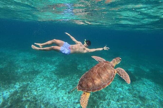 Cancun Catamaran: Sail to Isla Mujeres + Buffet & Drinks - Practical Details and Value