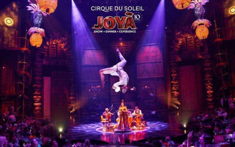 Cancún: Cirque du Soleil JOYÀ Entry Ticket and Transfer - Authentic Insights from Reviewers