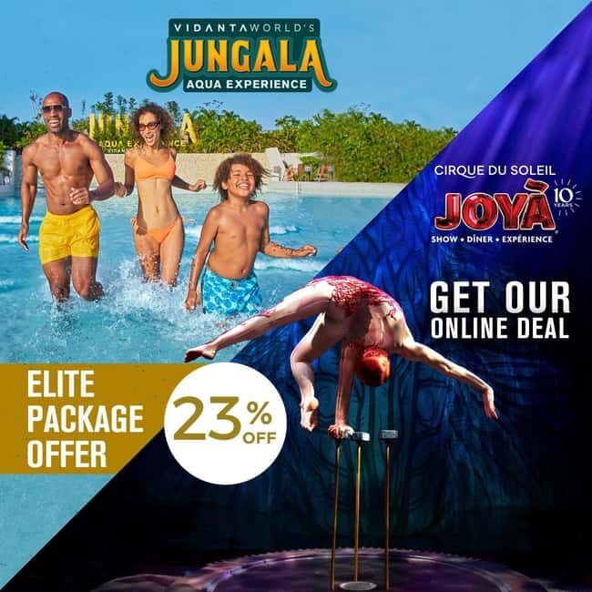 Cancún: Cirque du Soleil JOYÀ Ticket - Practical Tips for Attending