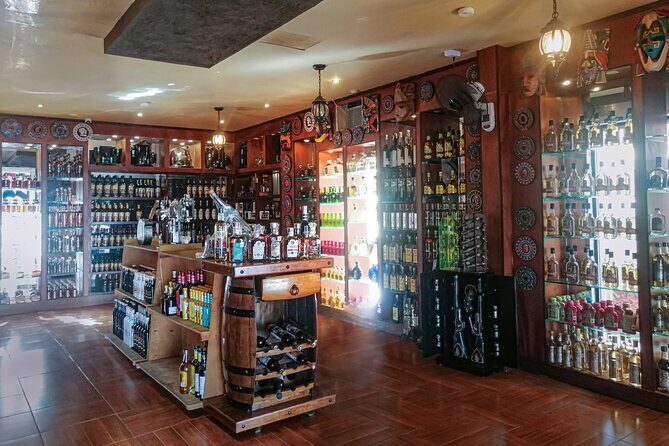 Cancun City Adventure! Private Half Day Tour - What You Get For Your Money