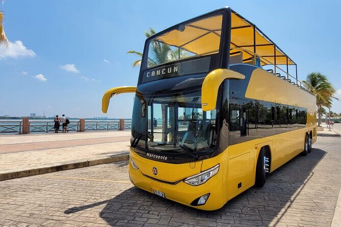 Cancun City Sightseeing and Shopping Tour on a Double Decker bus - A Deep Dive into the Tour Experience