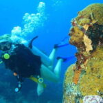 Cancun: Dive Underwater Museum & Manchones Reef - What’s Included and What’s Not