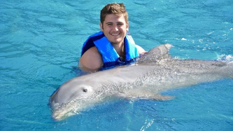 Cancún: Dolphin Encounter on Isla Mujeres with Buffet - Is It Worth the Price?