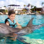 CANCUN: Dolphin Swim Adventure with buffet and soft drinks - Final Thoughts: Is It Worth It?